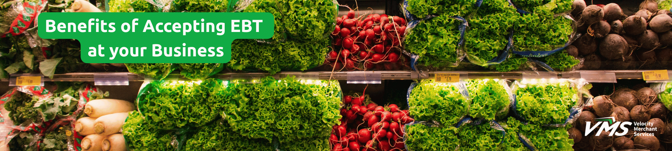 Accepting EBT Payments Can Enhance your Business - Velocity Merchant Services
