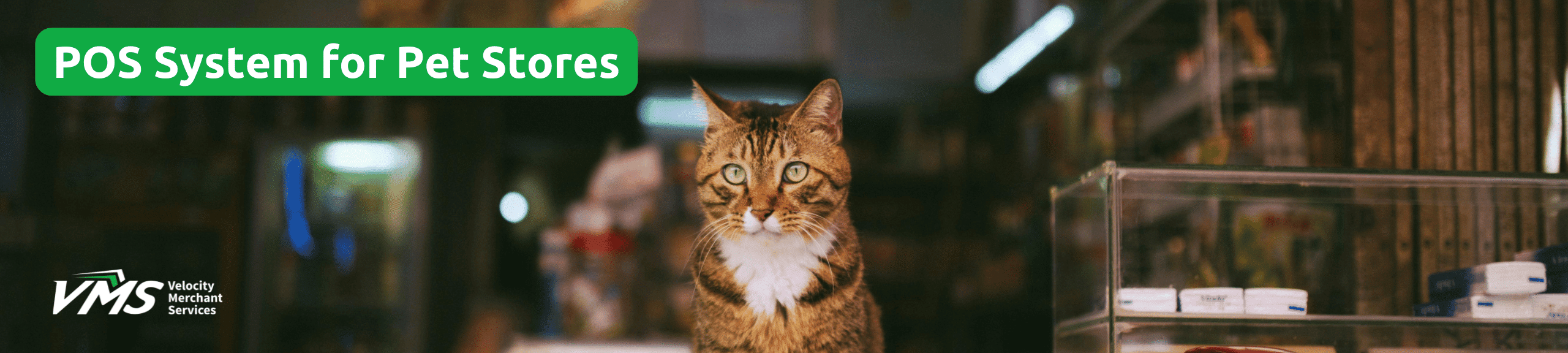 POS System for Pet Stores: 2025’s Ultimate Growth Tool