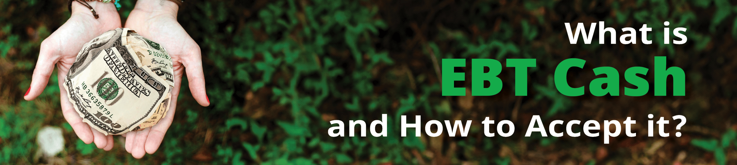 What Is EBT Cash? Complete 2025 Guide to Acceptance